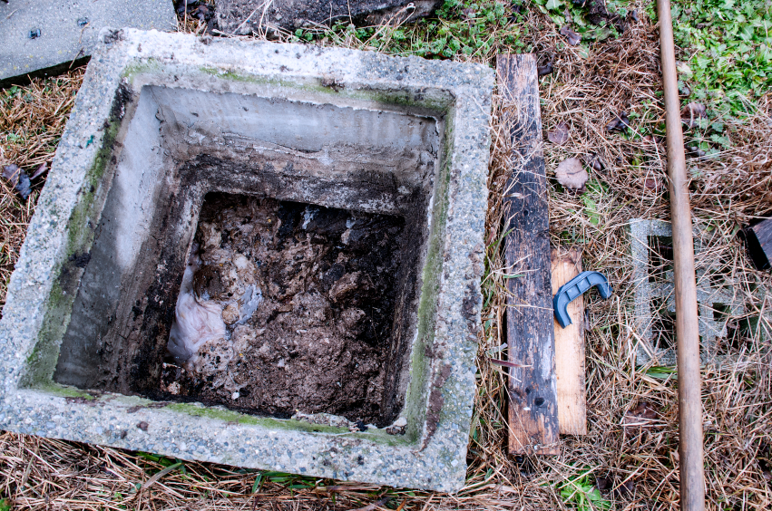 Signs of Septic Tank Problems | American Waste Septic